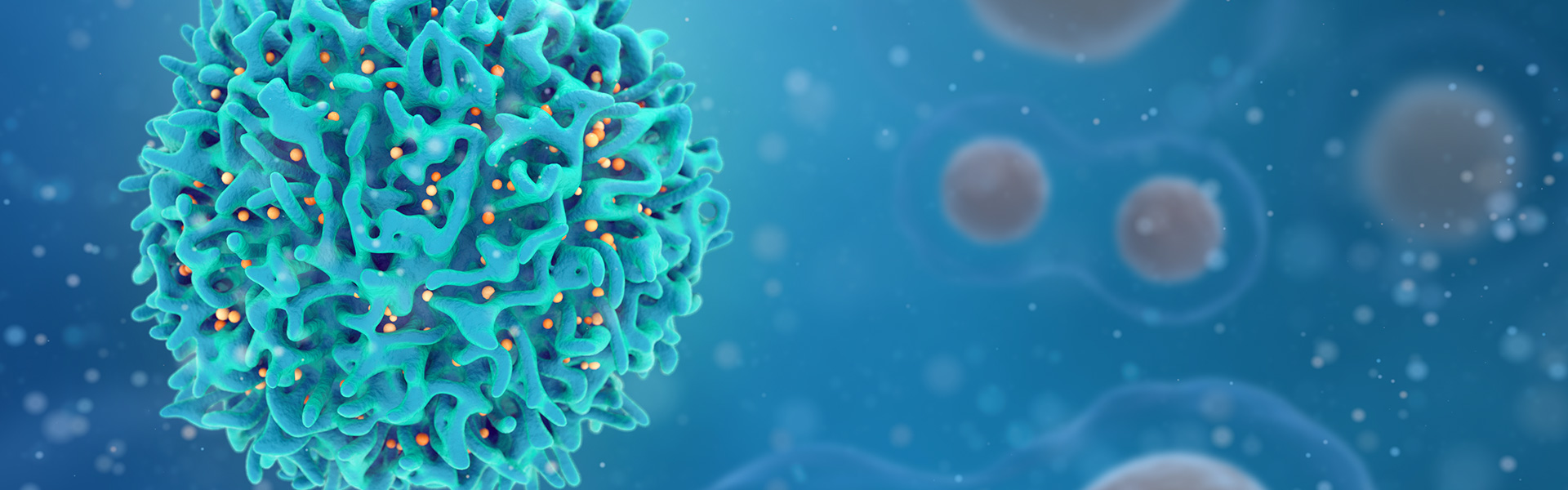 SNAC promotes the oral absorption of semaglutide tablets - chengdu ...