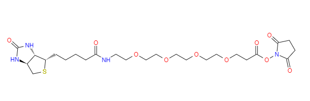 Biotin-PEG4-NHS Ester from China manufacturer - chengdu Pukang ...